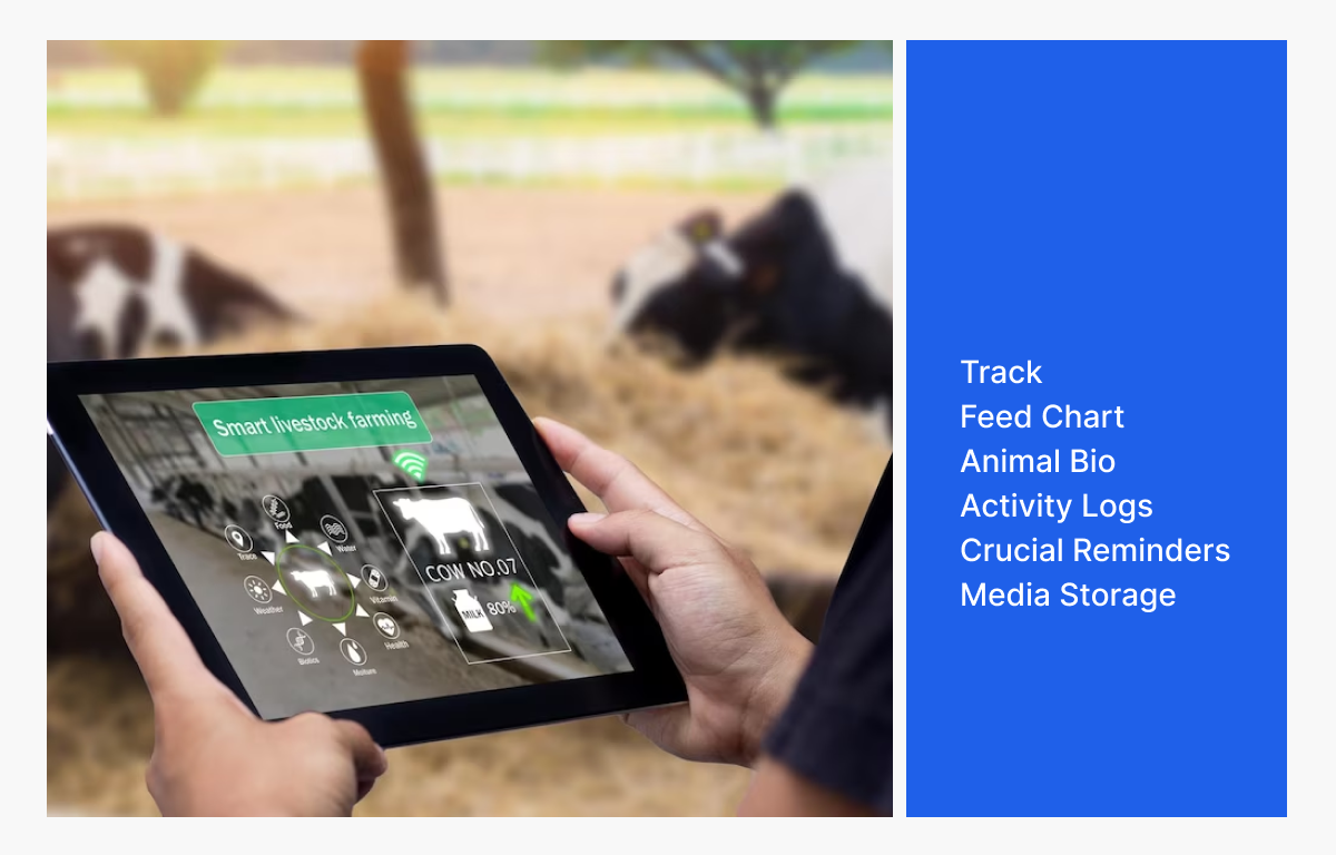Scalability and Performance Optimization – Barn Management System Scalability and Performance Optimization – Barn Management System